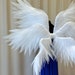 Six White Wings Set, Cosplay Costume , Angel Wings, 6 Wings Costume ...