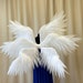 Six White Wings Set, Cosplay Costume , Angel Wings, 6 Wings Costume ...