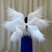 Six Wings , 6 Wings Costume Accessory , Cosplay Costume , Angel Costume ...