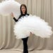 Fan Accessory to the Costume, White Fan, Hand Fan, Fan Accessory for ...