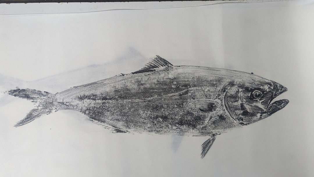 Gyotaku Yellowtail hamachi Fish Print 36 X 18.5 Ink on Rice Paper - Etsy