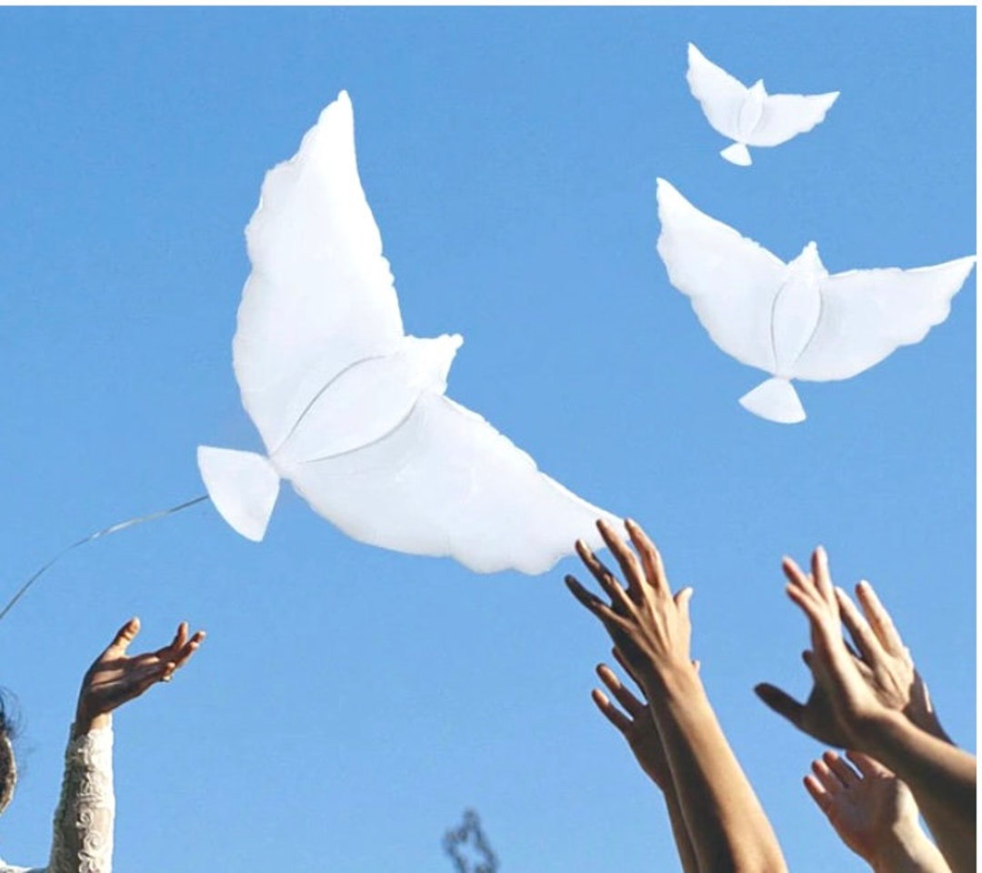 2+ Giant Dove Balloons Memorial Wedding Funeral Hospice Free Shipping ...
