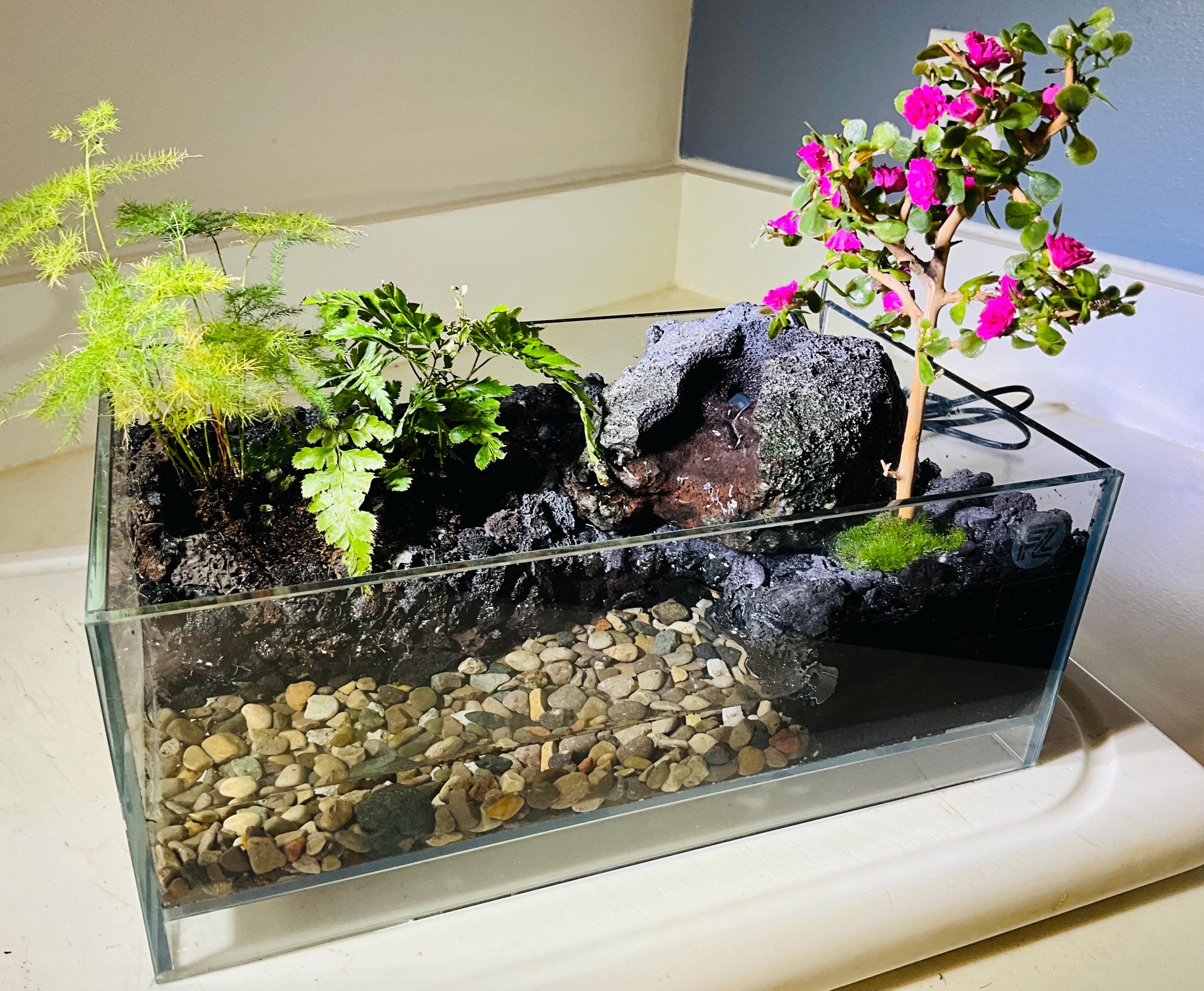 Terrarium Waterfall Kit