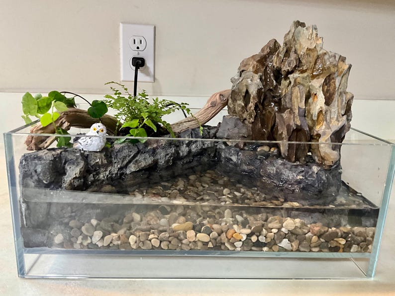 Terrarium With Real Rock Waterfall, Pond, and Live Plants - Etsy
