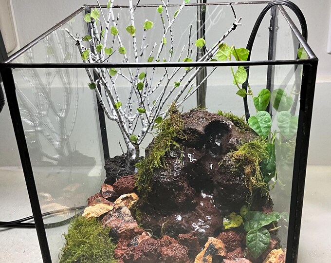 Lighted Real Waterfall Terrarium With Java Moss and Faux Birch Tree ...