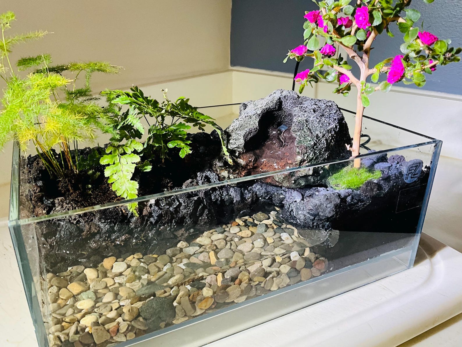 Terrarium With Real Rock Fountain, Pond, and Live Plants - Etsy