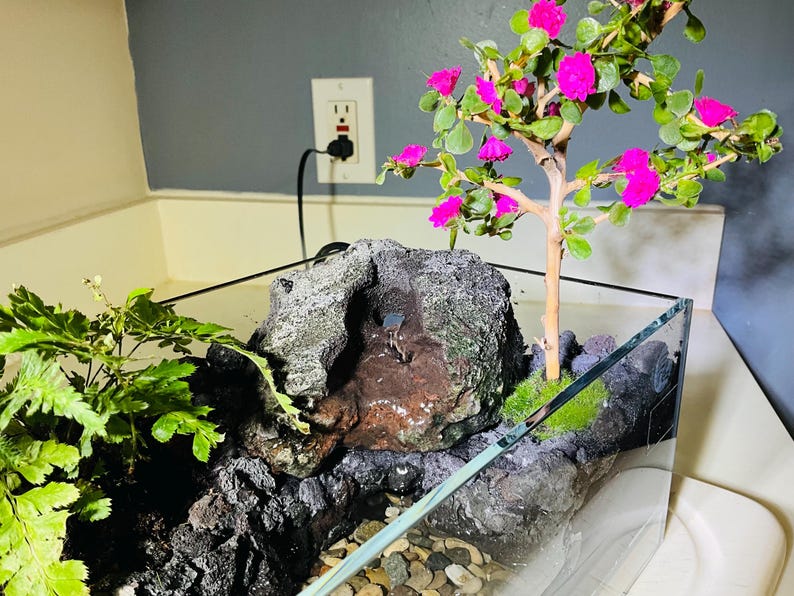Terrarium With Real Rock Fountain, Pond, and Live Plants - Etsy