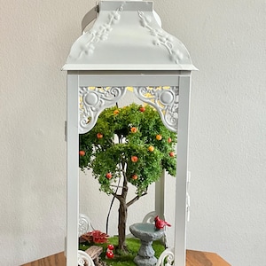 Apple Tree Diorama: Miniature Nature Scene in White Lantern - Etsy
