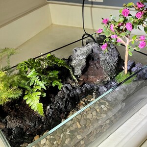 Terrarium With Real Rock Fountain, Pond, and Live Plants - Etsy
