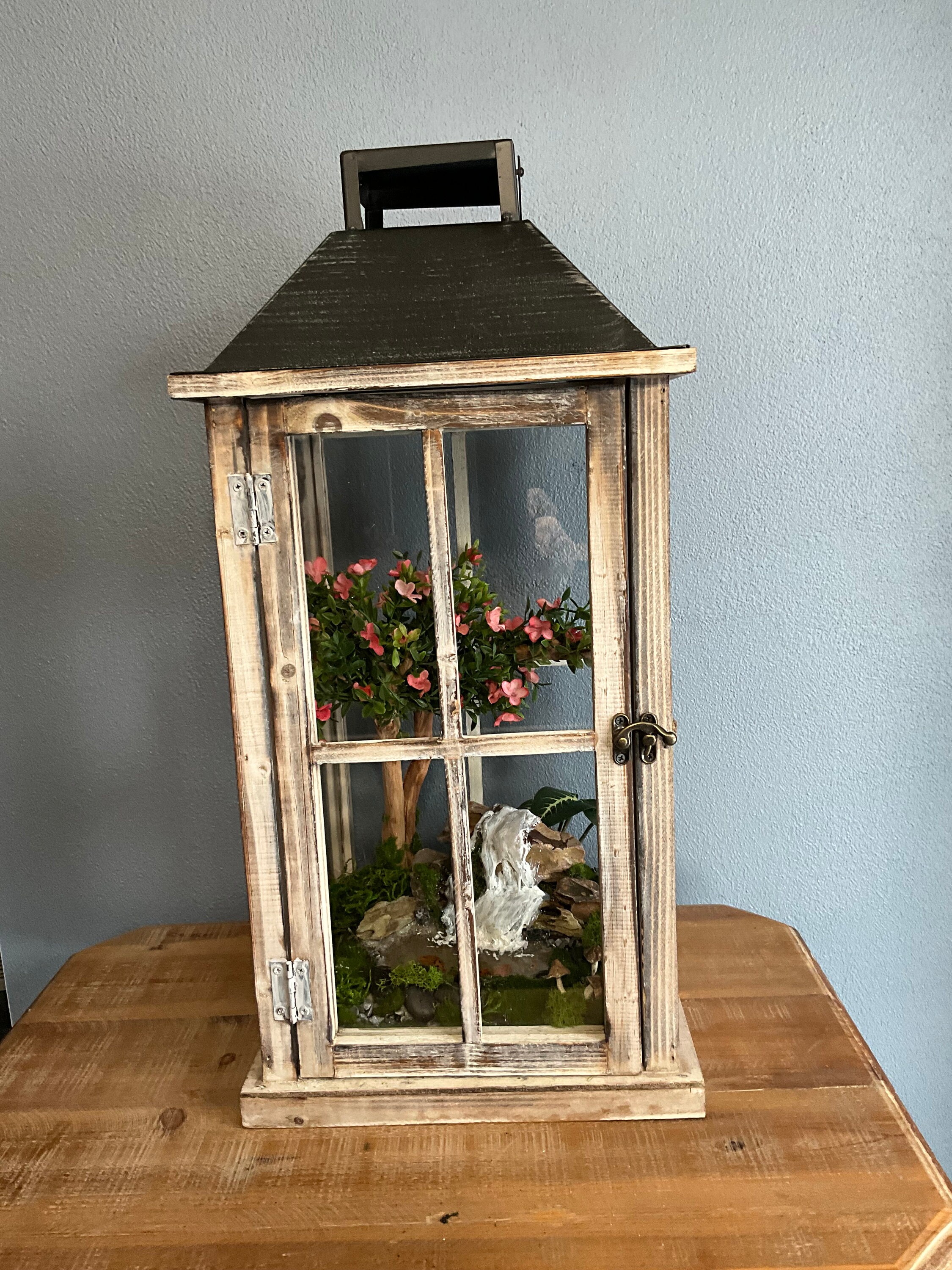 Terrarium in Lantern Container - Etsy
