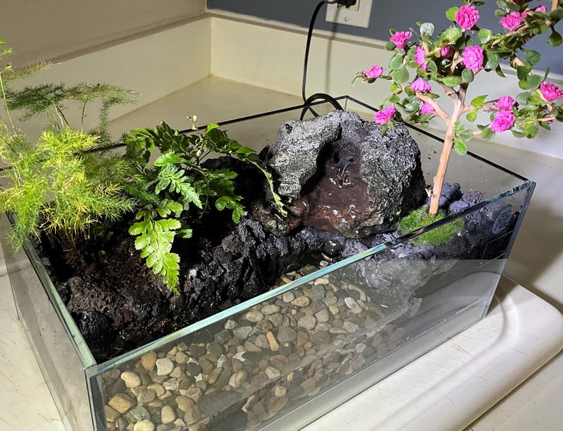 Terrarium With Real Rock Fountain, Pond, and Live Plants - Etsy