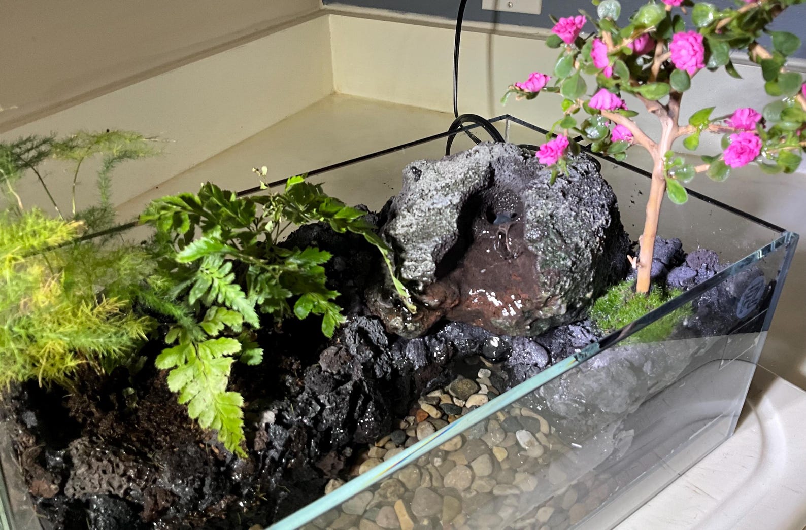 Terrarium With Real Rock Fountain, Pond, and Live Plants - Etsy