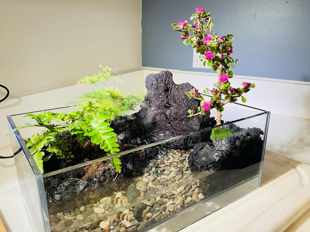 Terrarium With Real Rock Fountain, Pond, and Plants - Etsy