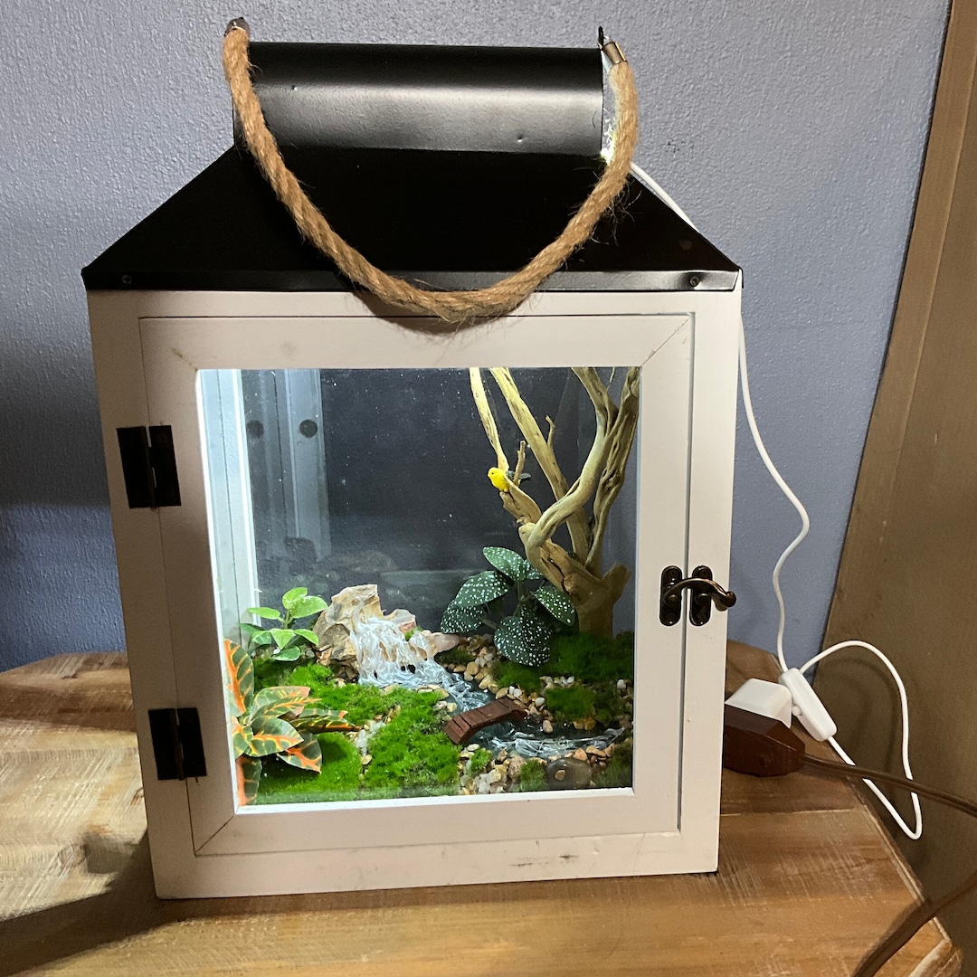 Lighted Terrarium With Waterfall, River and Bridge. Realistic Faux Moss ...
