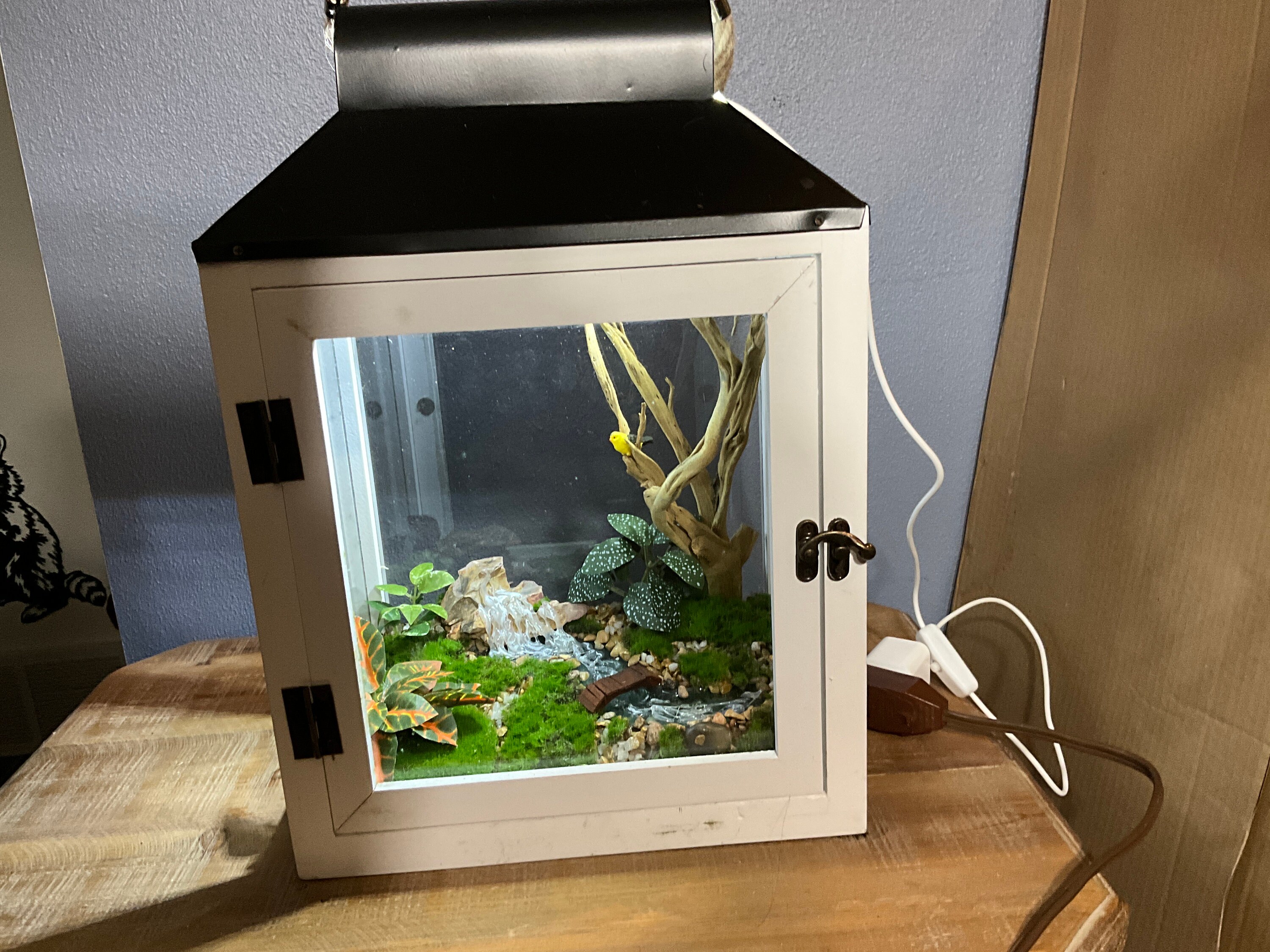 Terrarium With Waterfall, River and Bridge. Realistic Faux Moss and ...