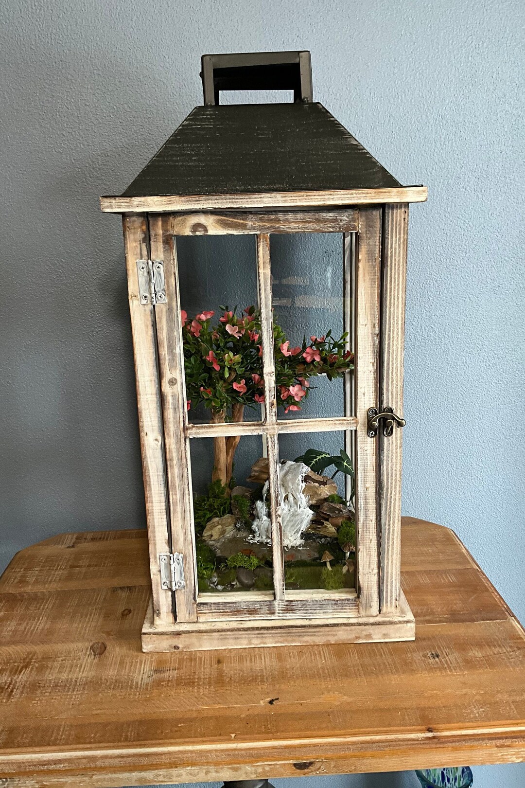 Terrarium in Lantern Container - Etsy