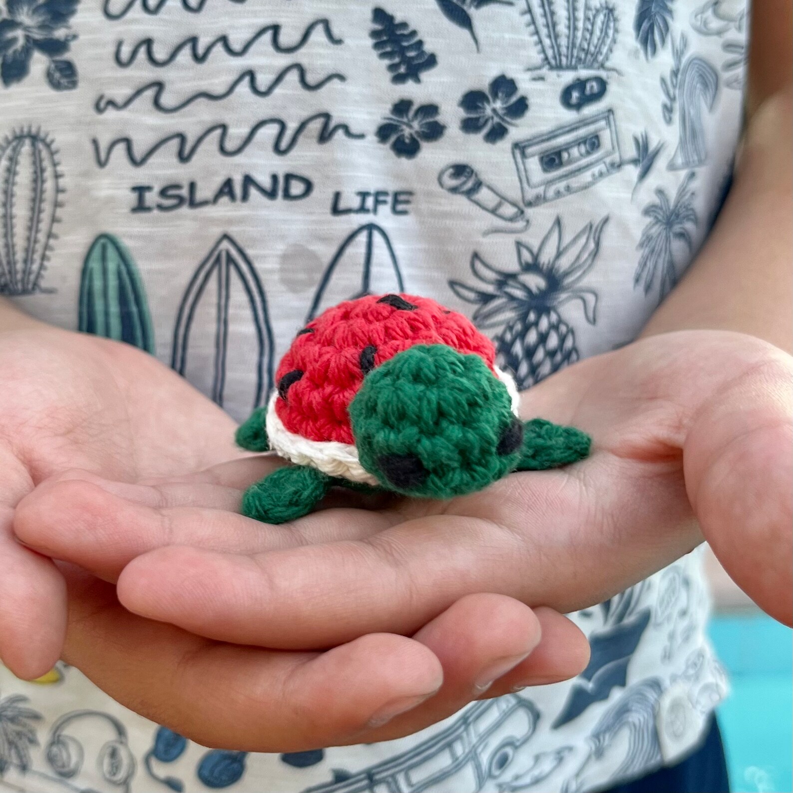 Crochet Fruit Turtles - Etsy