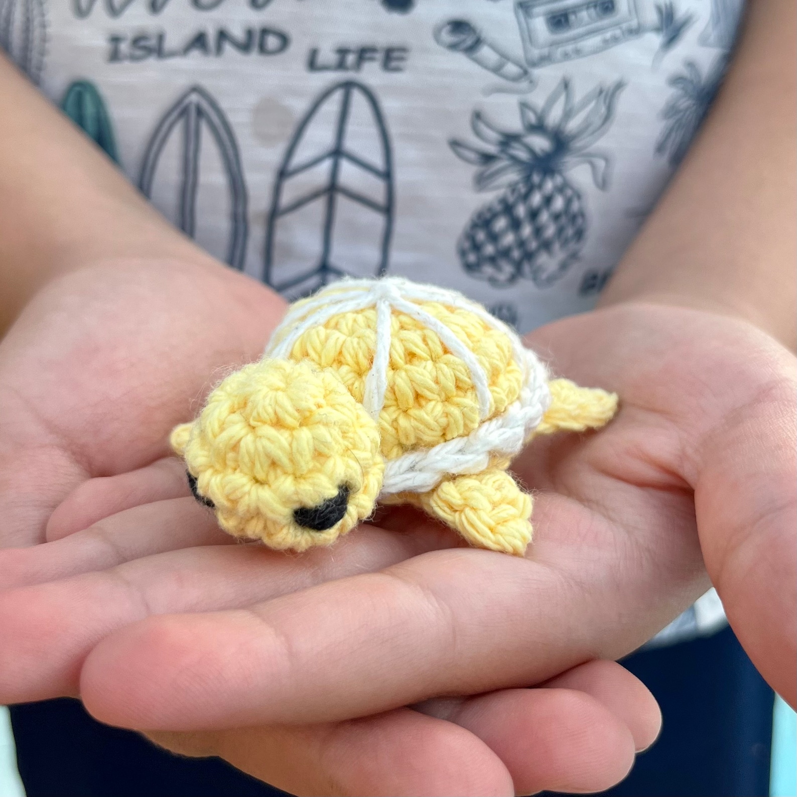 Crochet Fruit Turtles - Etsy