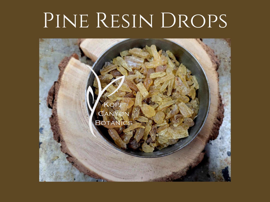 Premium Ponderosa Pine Resin Drops, Sap, Pitch. RAW Sustainably ...