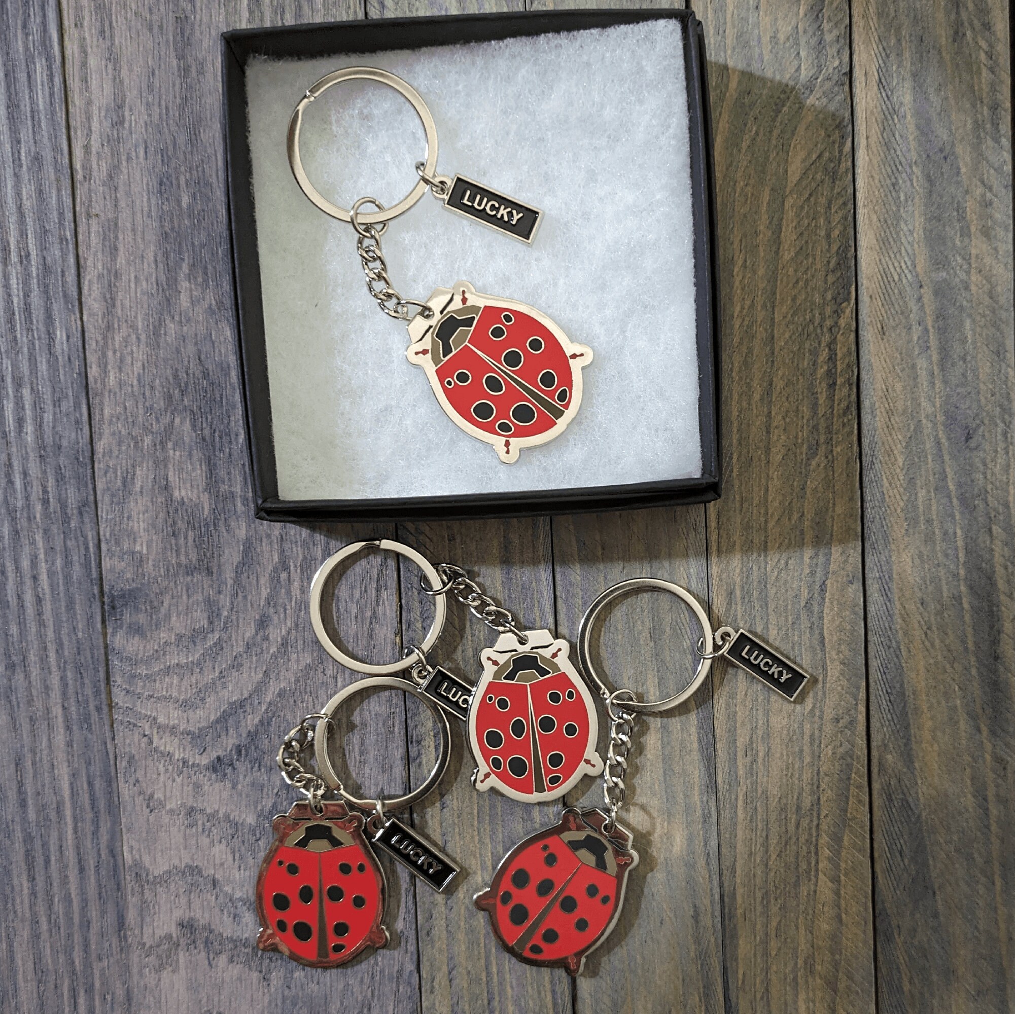 Butterfly, Dragonfly and Ladybug Key Chains - Etsy