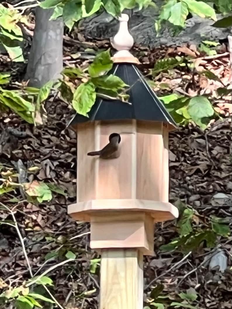 Octogon Birdhouse Plan - Etsy