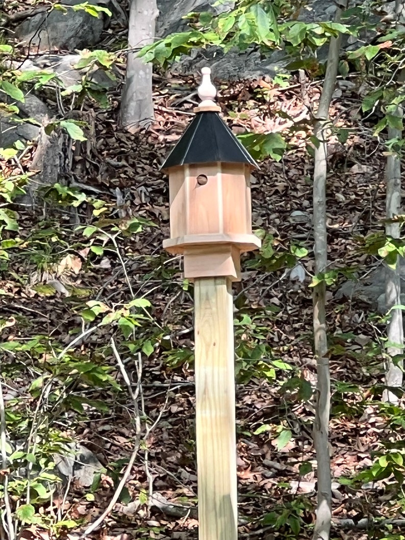 Octogon Birdhouse Plan - Etsy