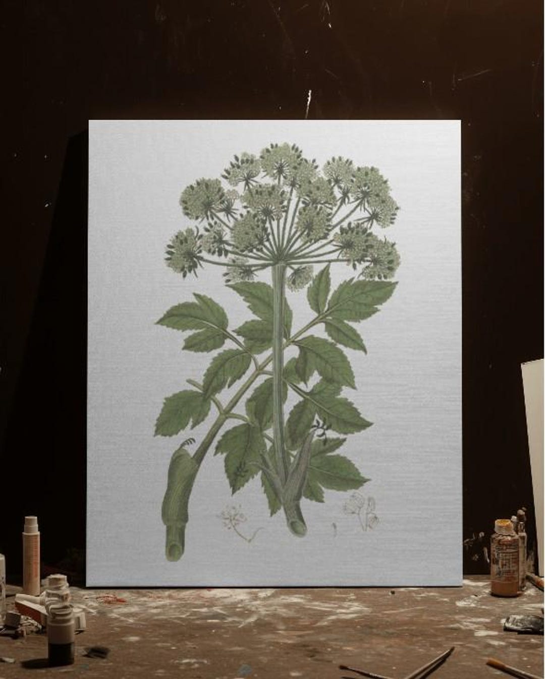 Garden Angelica Print Vintage Botanical|archangelica Herb Illustration ...