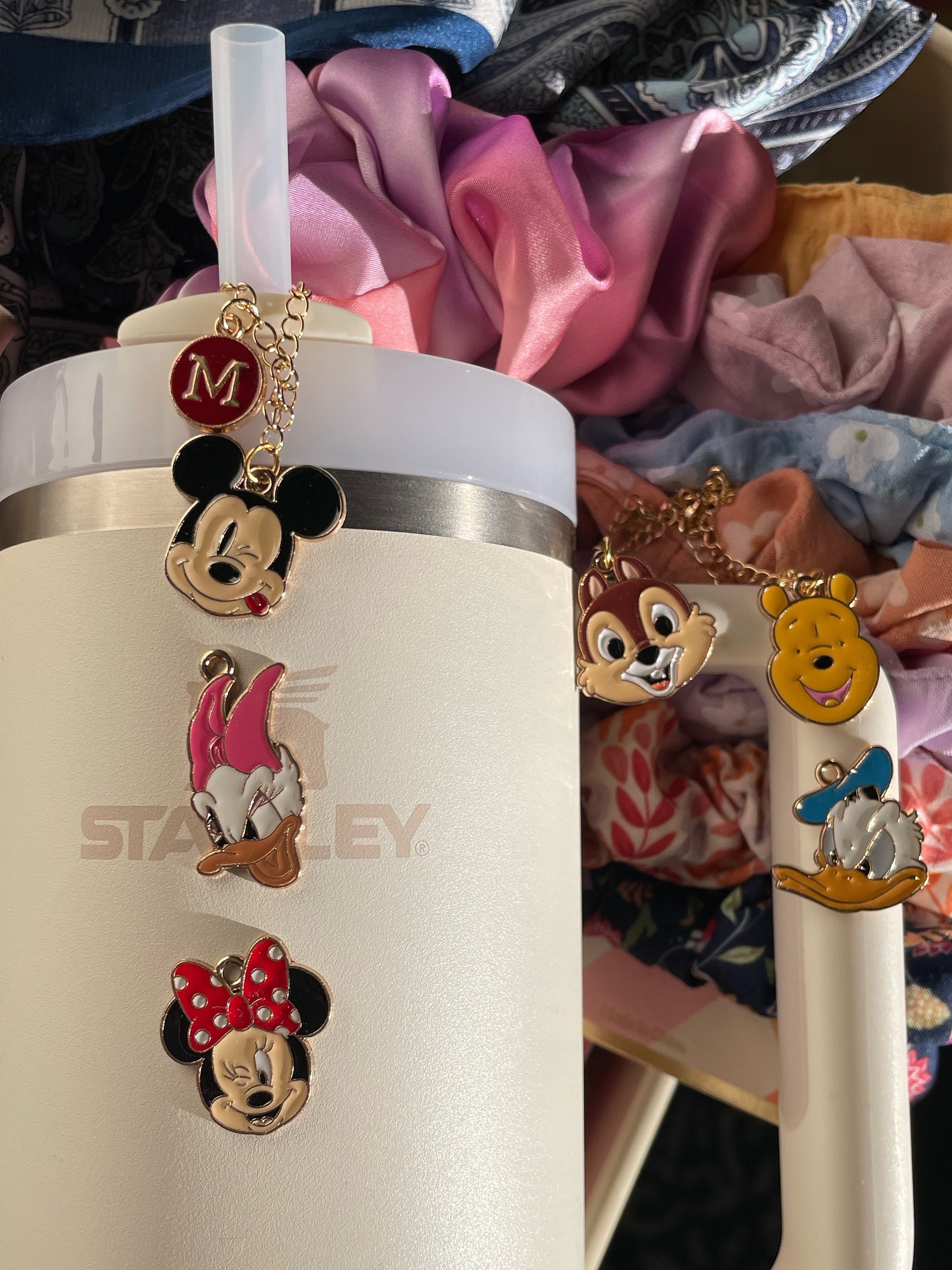 Magical Character Charms Disney Parks Stanley Tumbler Charm Yeti Owala ...