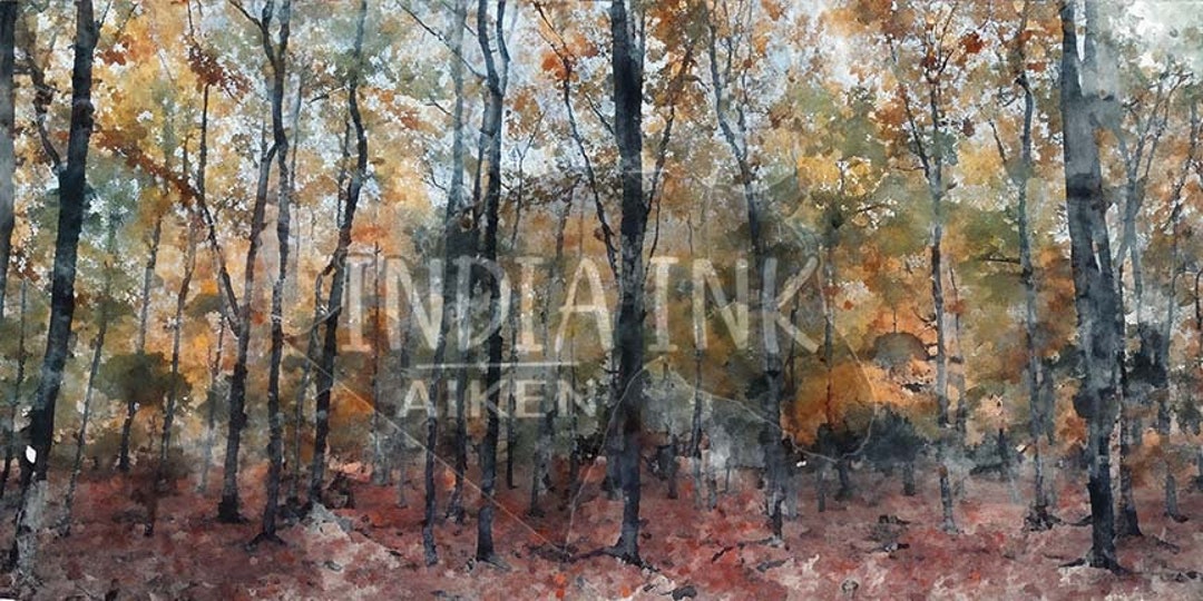 Fall Colors in Aiken SC (set of 3 Images) - Etsy