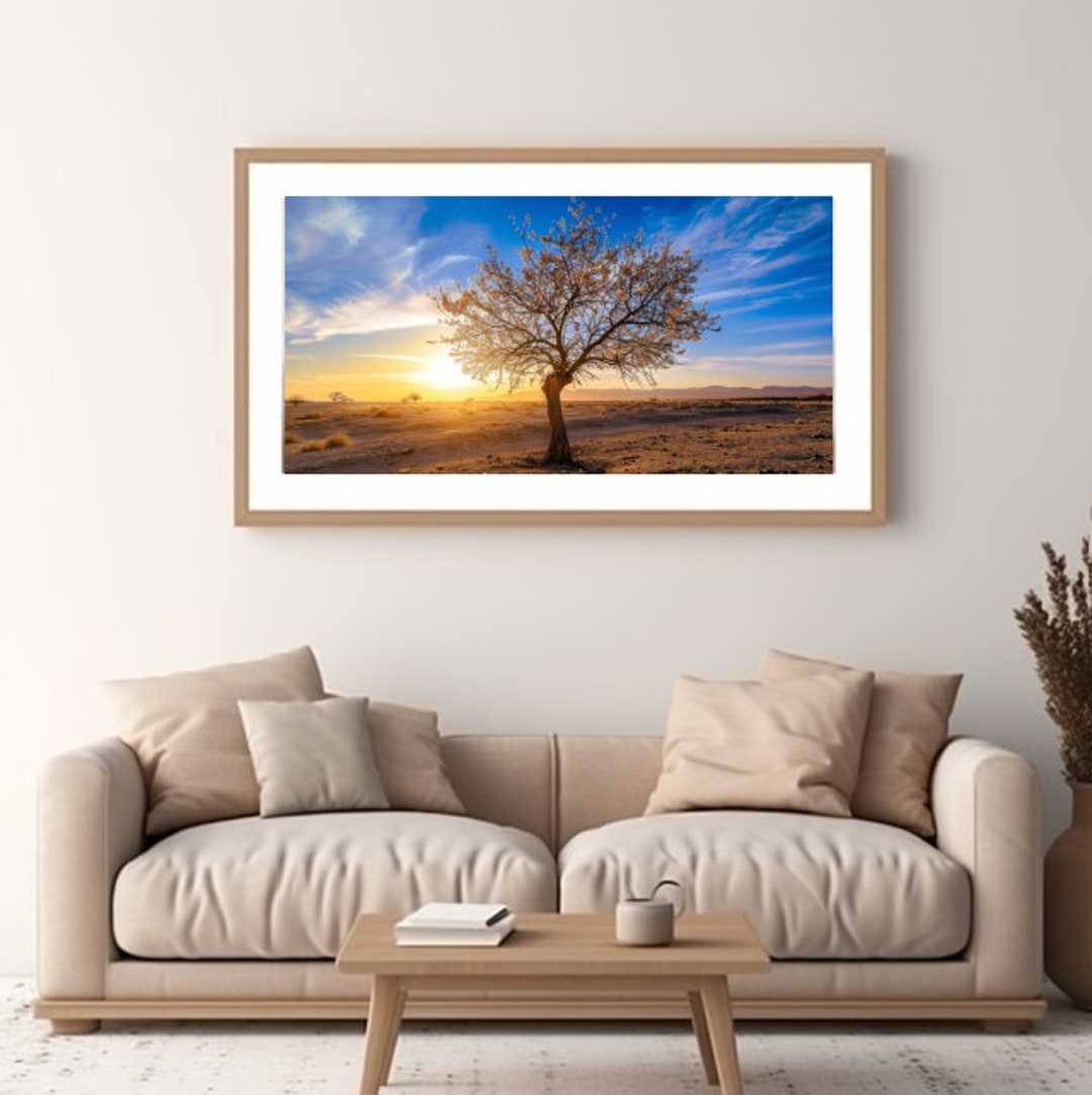 Celebrate the Splendor of Spring With Our Enchanting Blooming Trees ...