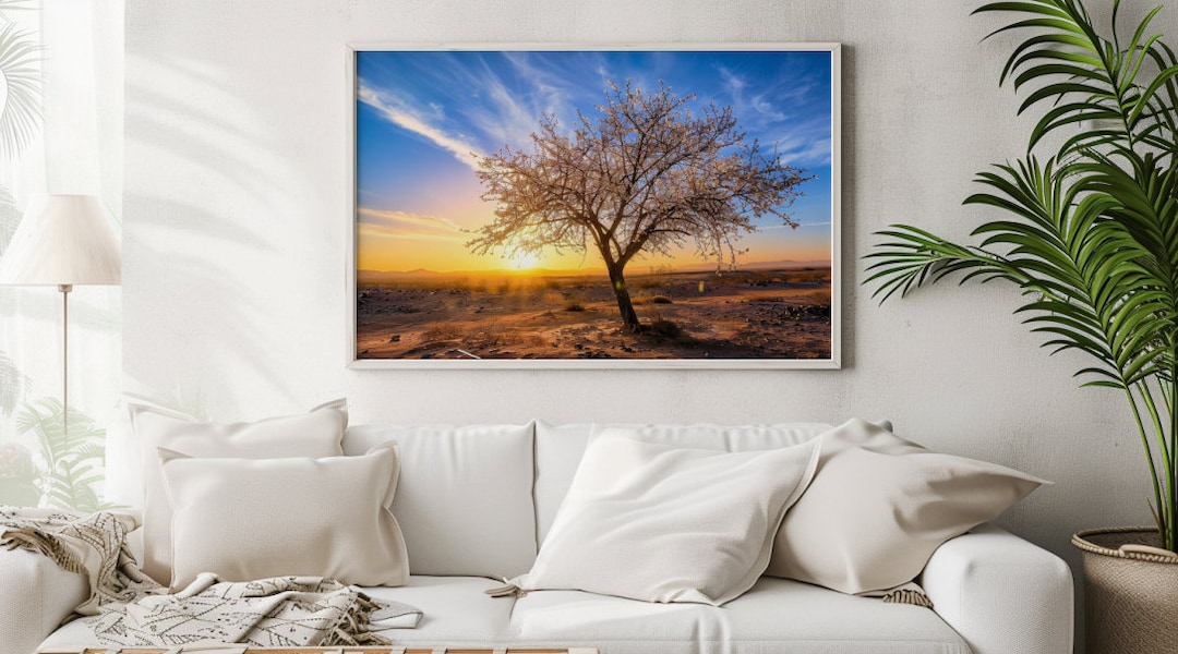 Celebrate the Splendor of Spring With Our Enchanting Blooming Trees ...