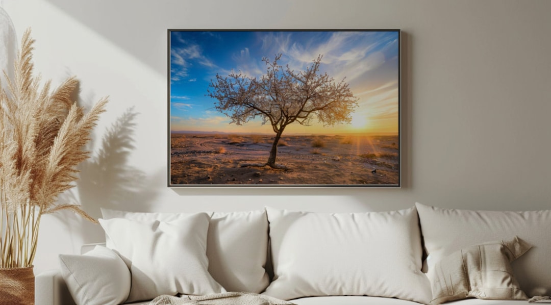 Celebrate the Splendor of Spring With Our Enchanting Blooming Trees ...