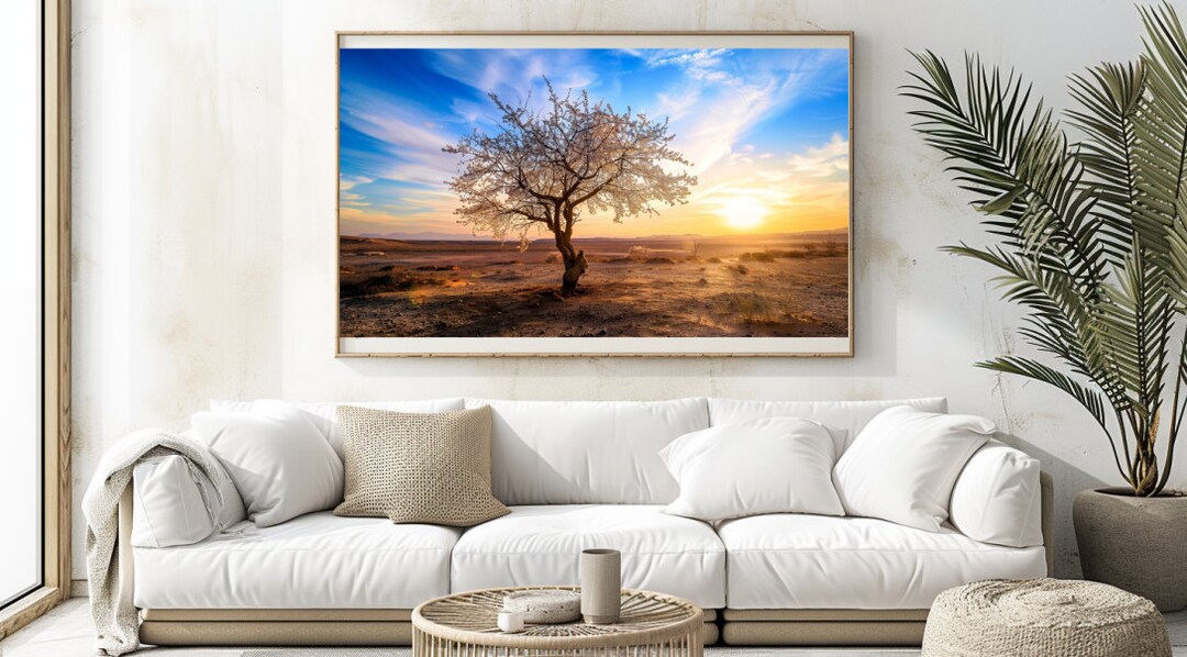 Celebrate the Splendor of Spring With Our Enchanting Blooming Trees ...