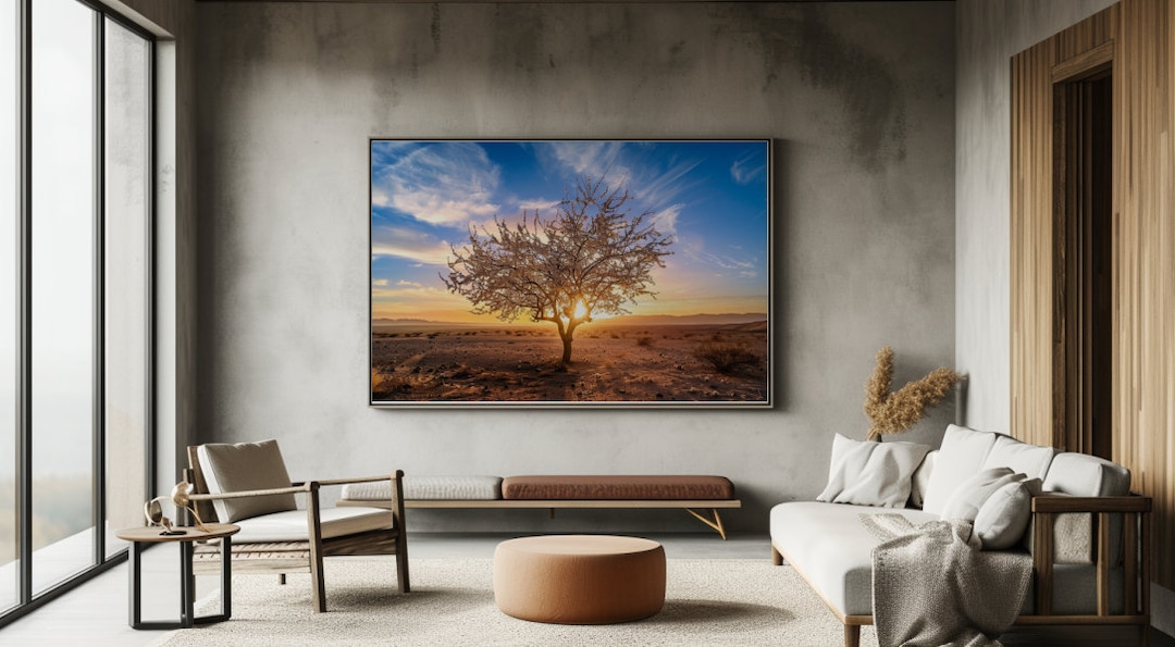 Celebrate the Splendor of Spring With Our Enchanting Blooming Trees ...