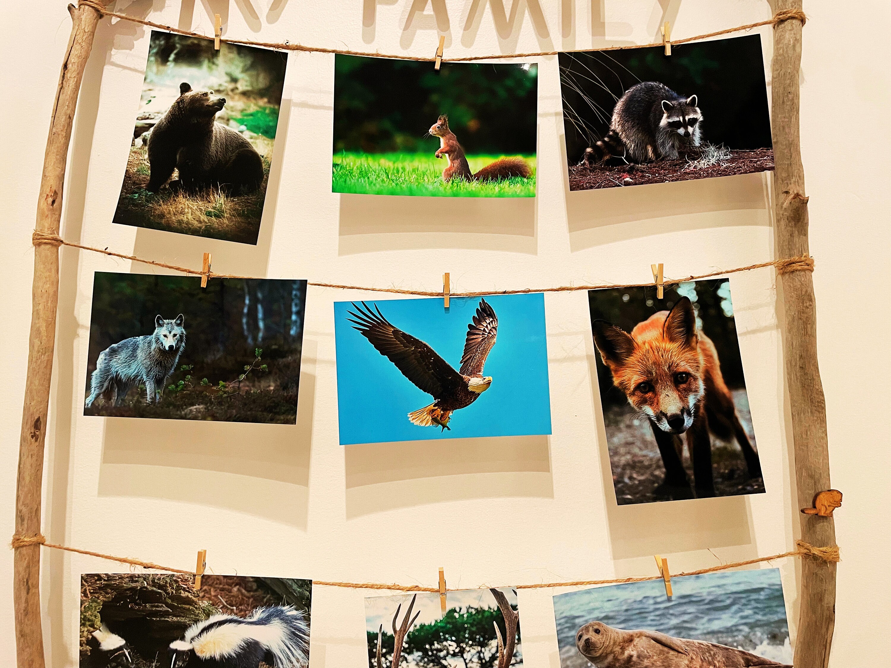 Handcrafted From BC, This Wooden Photo Frame is the Perfect Addition to ...