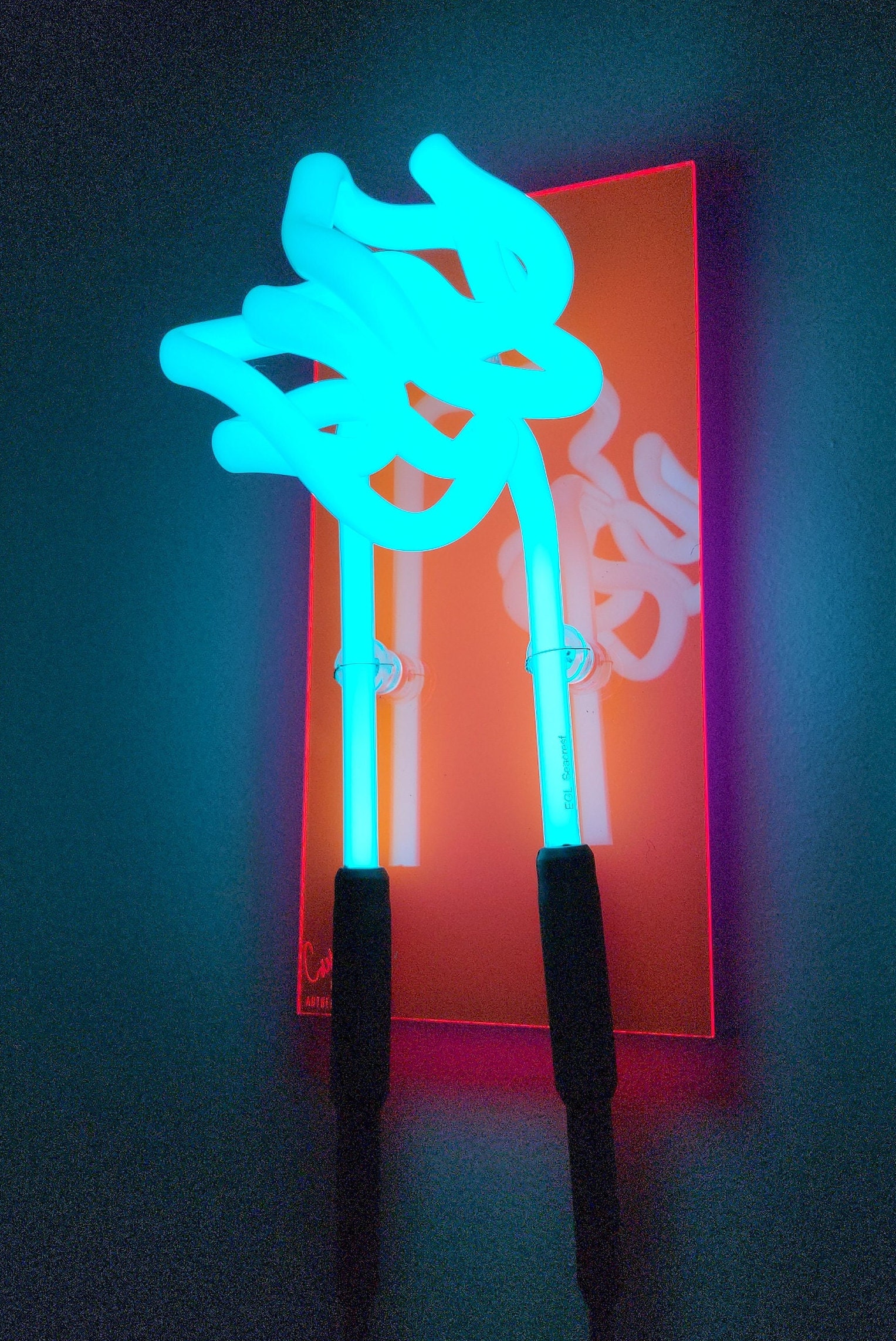 Authentic Neon Art Glass Hand Bent Neon Lighting - Etsy