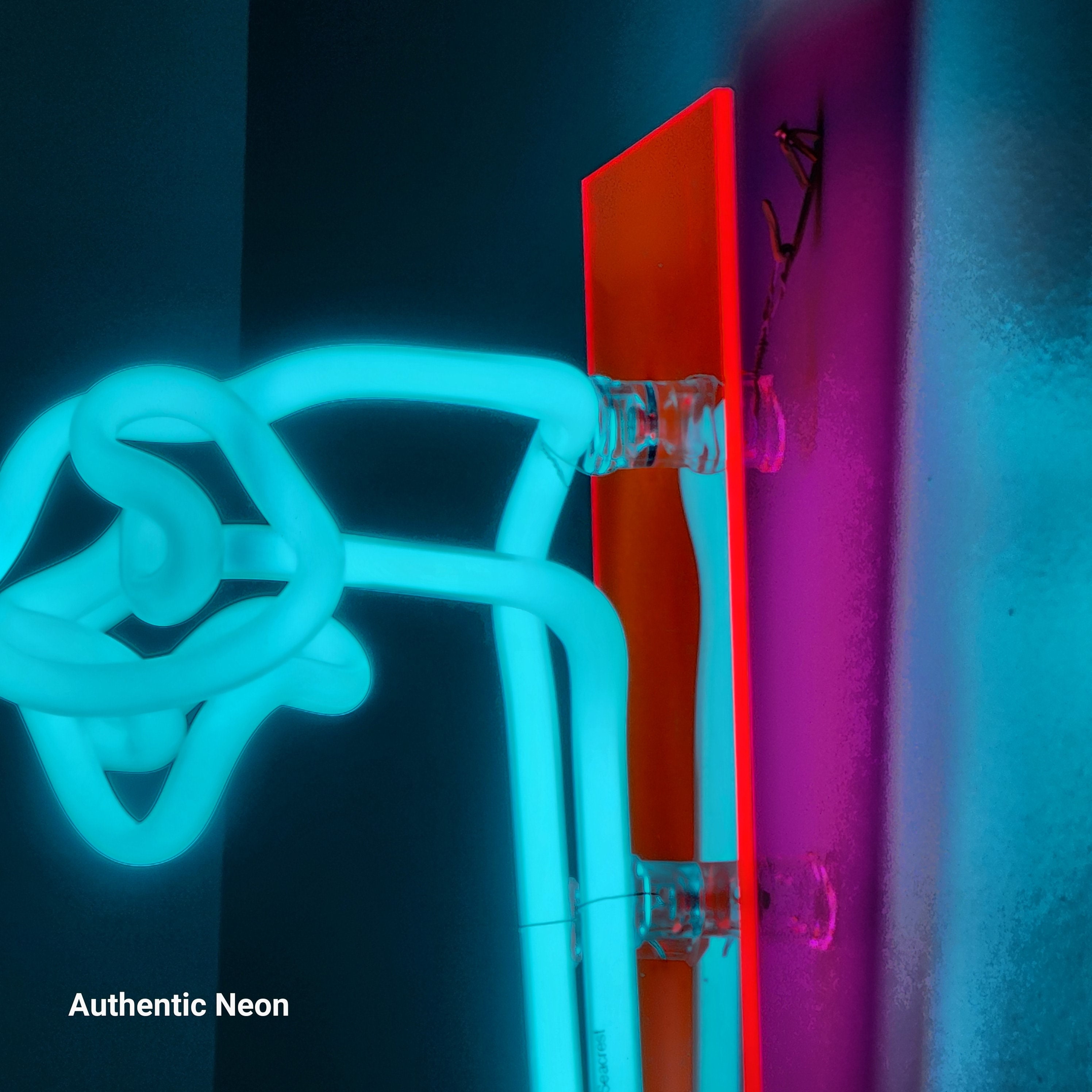 Authentic Neon Art - Glass Hand Bent - Neon Lighting - - Etsy