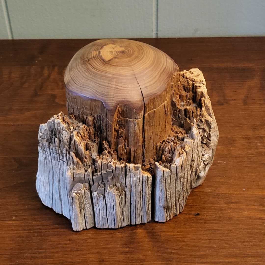 Fence Post Trinket Box - Hand Made up Cycled Colorado Juniper Fence ...