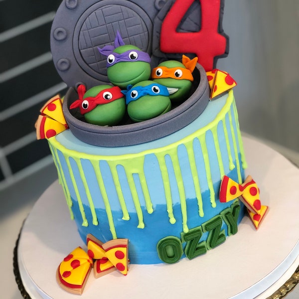 Ninja Turtles Cake - Etsy