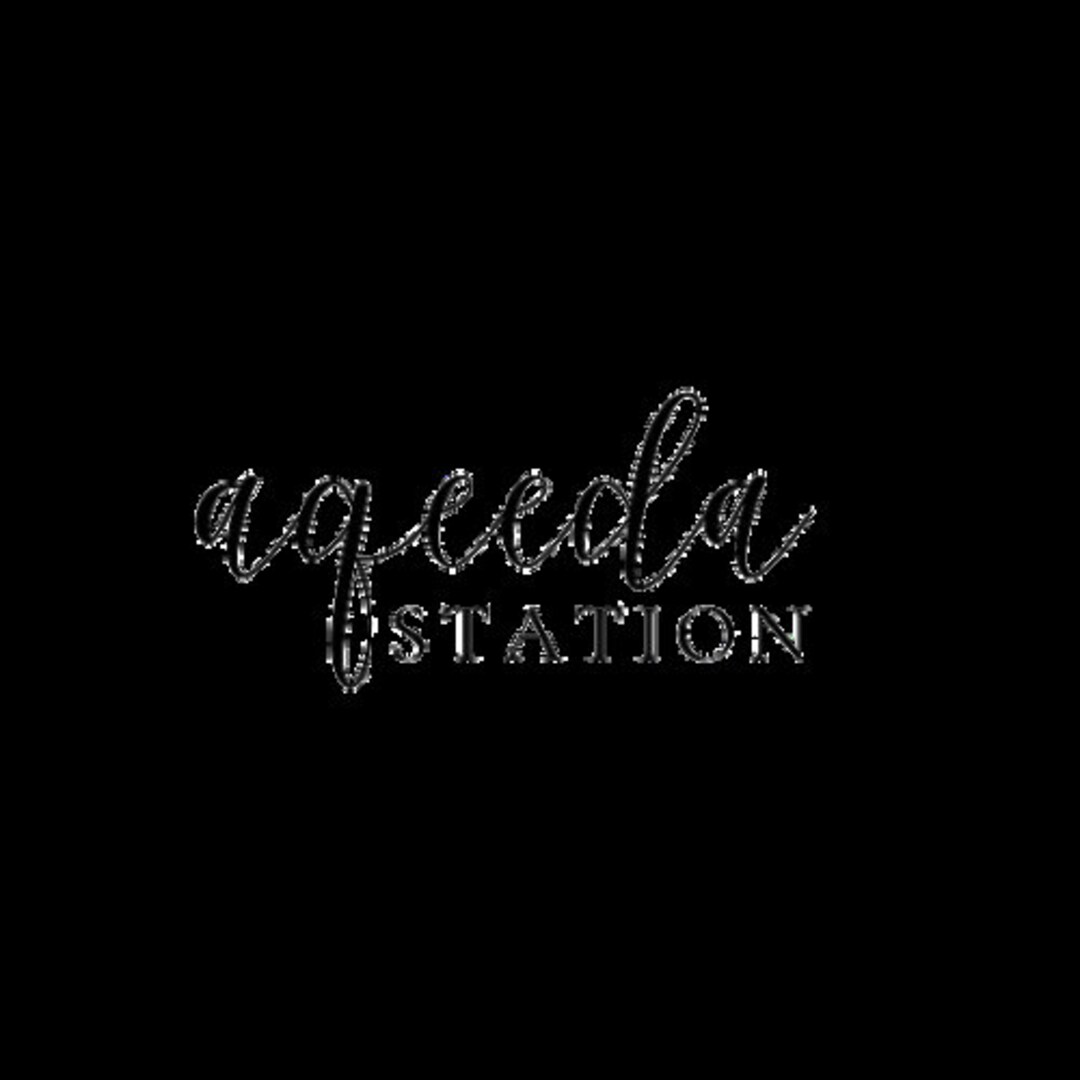 Aqeeda Station Logo - Etsy