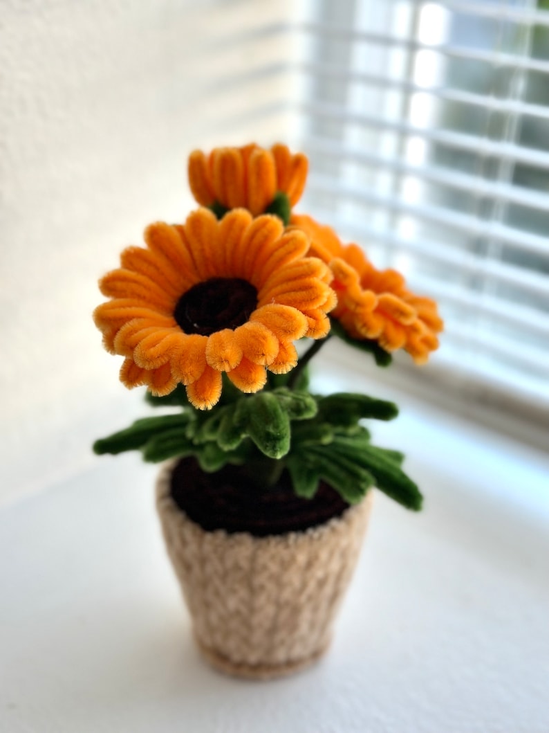 Handmade Flower Pot - DIY Plants - Etsy