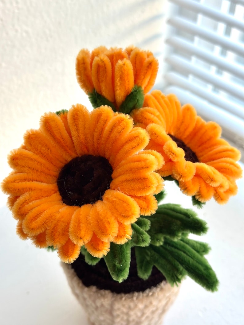 Handmade Flower Pot - DIY Plants - Etsy