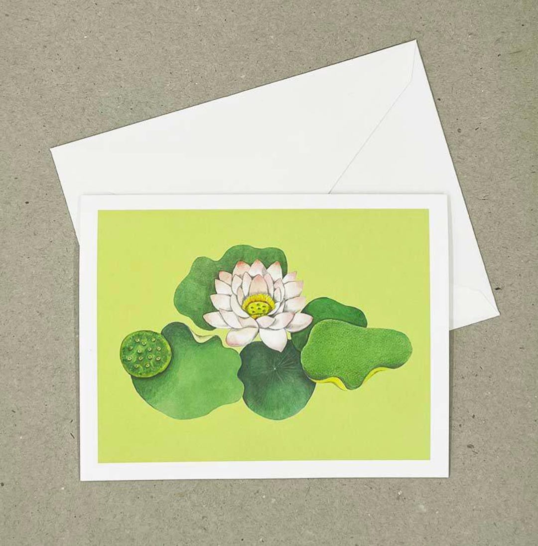 Lan Su Pink Lotus Note Card on Pale Green, Lotus Flowers, Pond, Modern ...