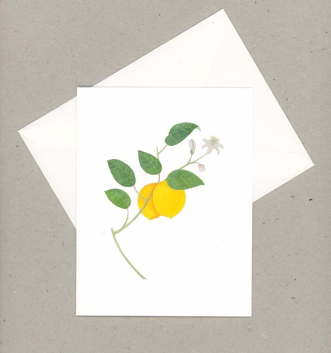 Lemon Cluster Note Card No. 7, Blank Inside, Citrus Fruit, for All ...