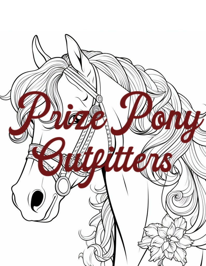 Neigh - Kickass Modern Rodeo Coloring Book (digital Download), Cool ...