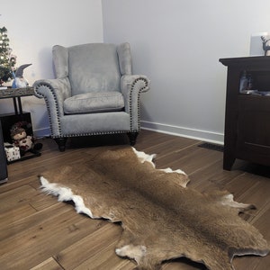 Eastern White Tailed Deer Pelt Made Rug Deer Hide Rug - Etsy