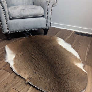 Eastern White Tailed Deer Pelt Made Rug Deer Hide Rug - Etsy