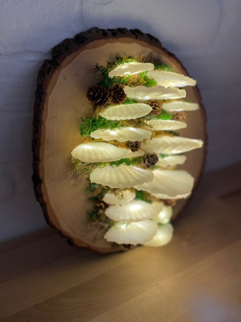 Mushroom Wall Lighting - Etsy