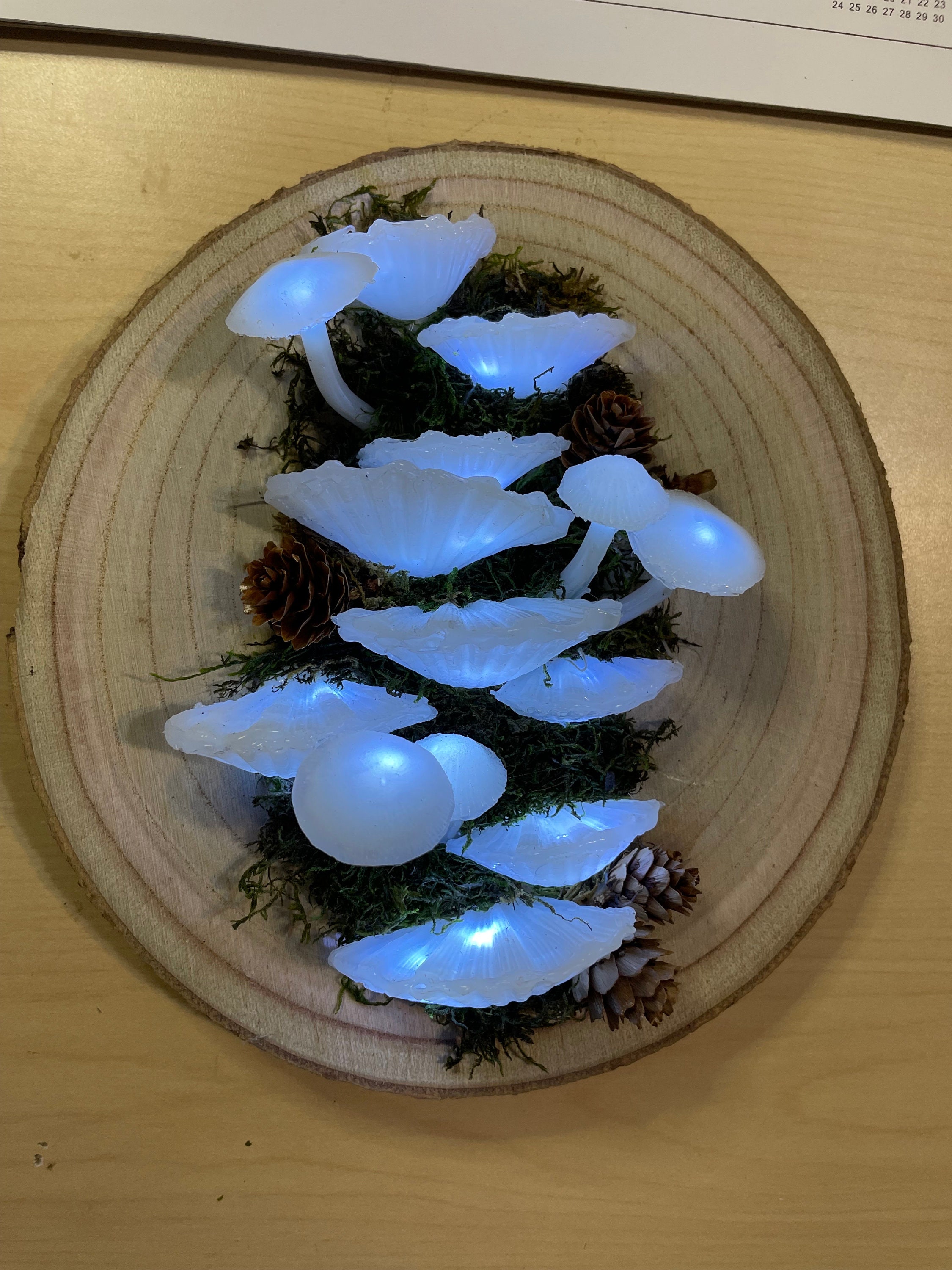 Mushroom Wall Lighting - Etsy