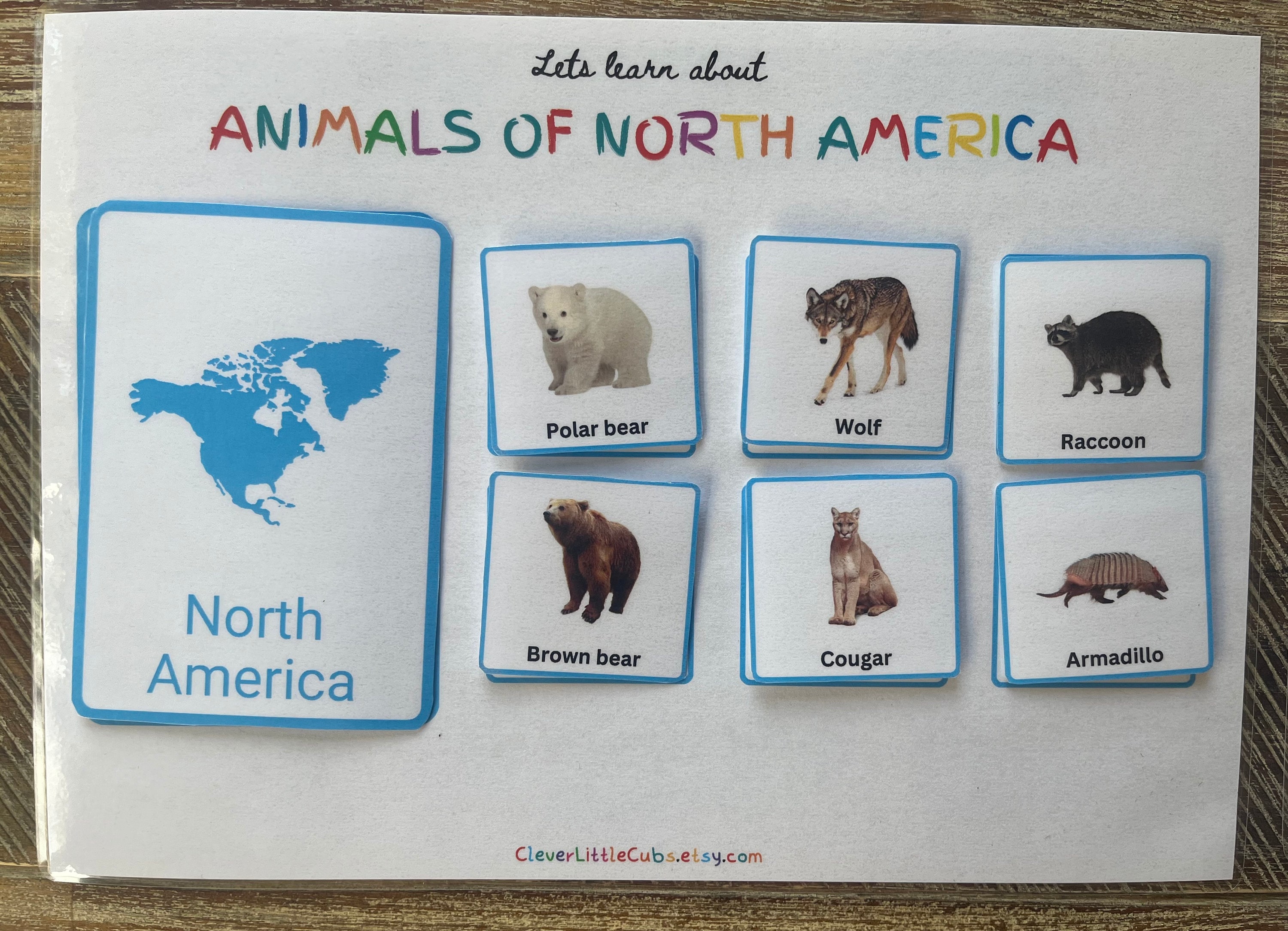 Animals Flash Cards Animals of the Continents Homeschool Material ...